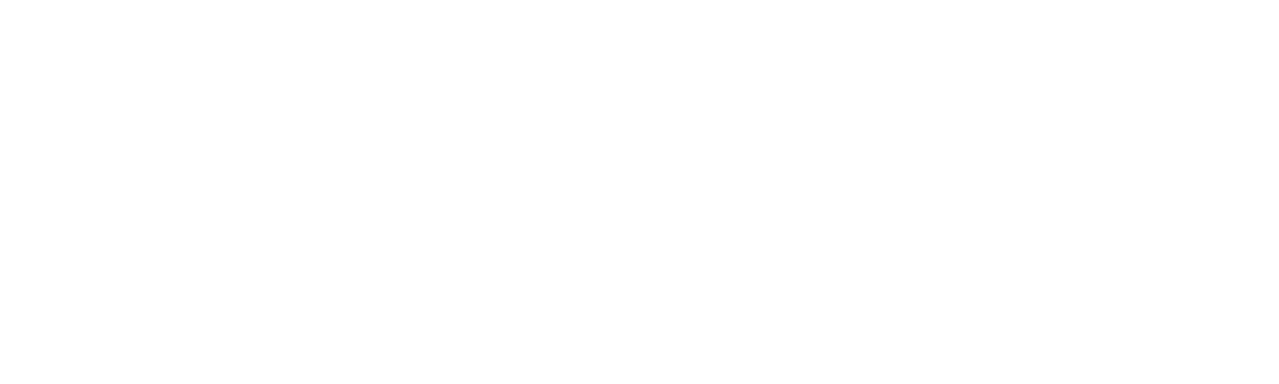 cargo-transport-07 | Simply Connected Systems